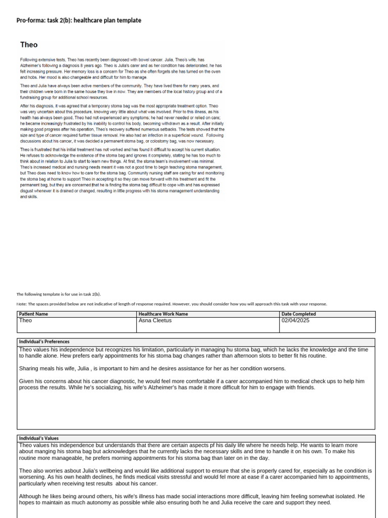 Task 2 B Care Plan Theo Asna | PDF | Caregiver | Cancer