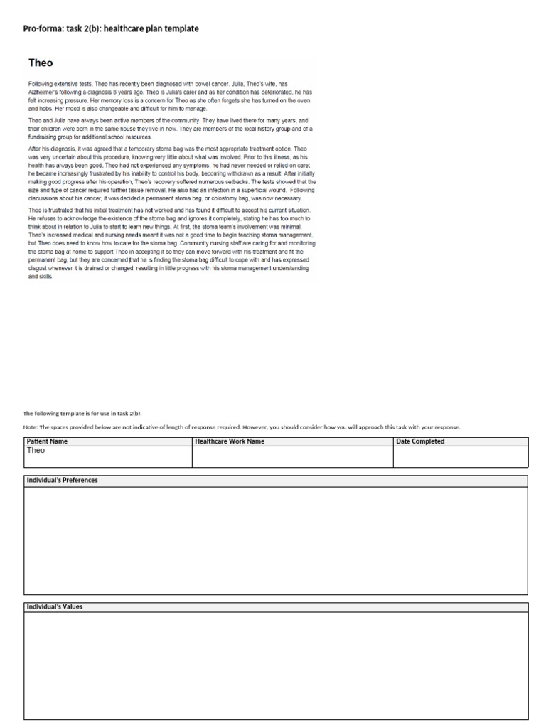 Task 2 B Care Plan Theo Proforma | PDF