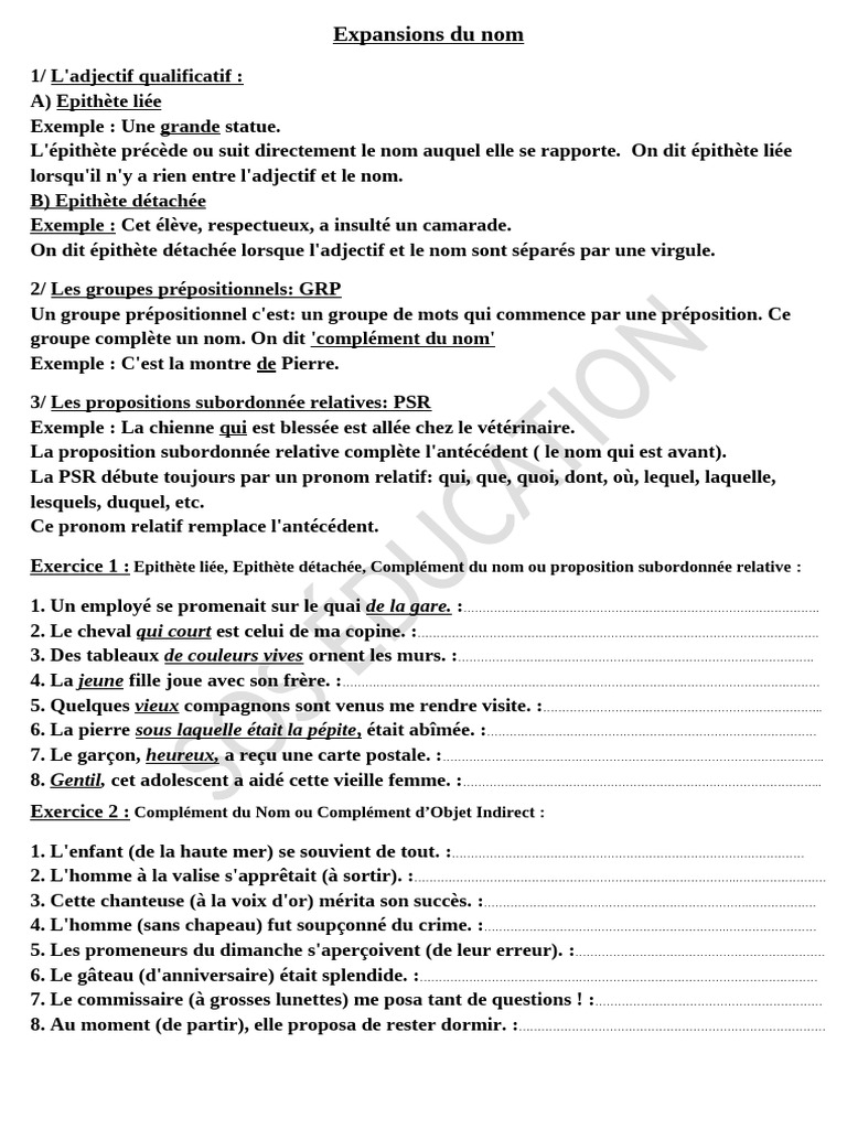 Expansions du nom : Guide et exercices | PDF | Clause | Pronom