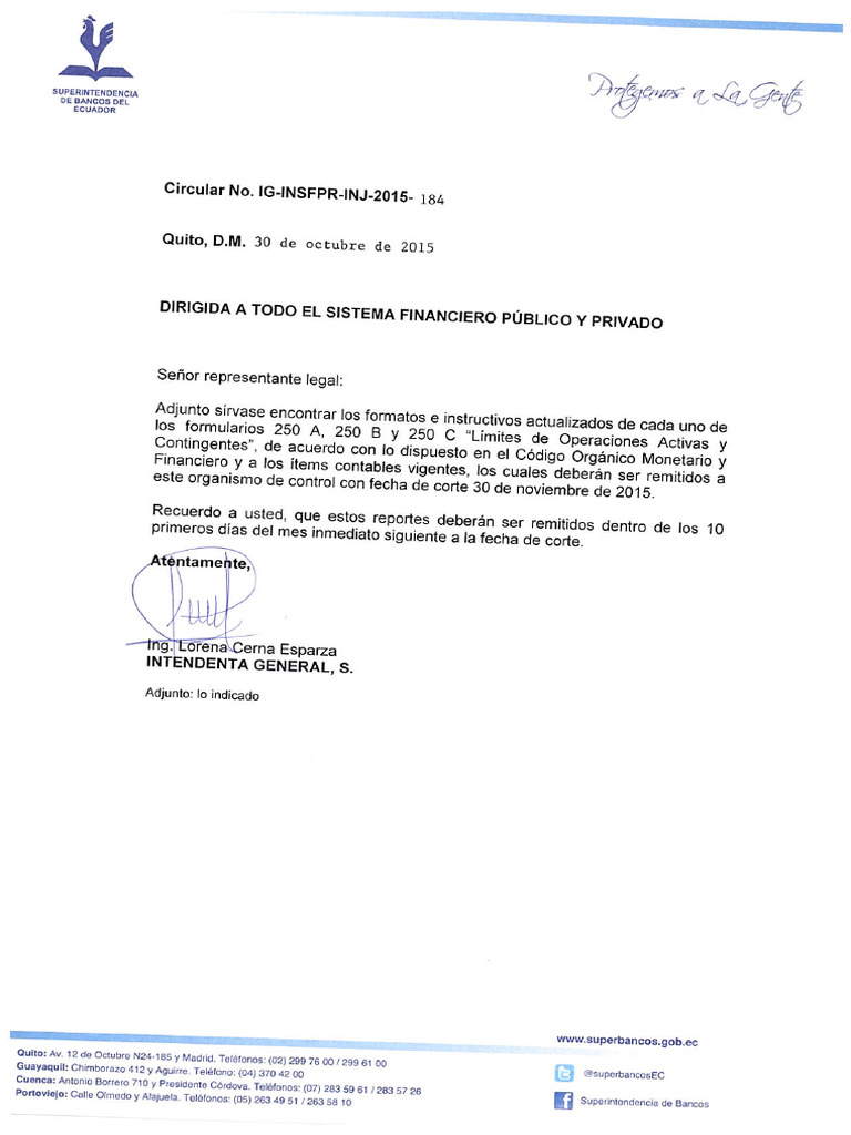 Circular - IG-INSFPR-INJ-2015-184-Instructivo F250 | PDF