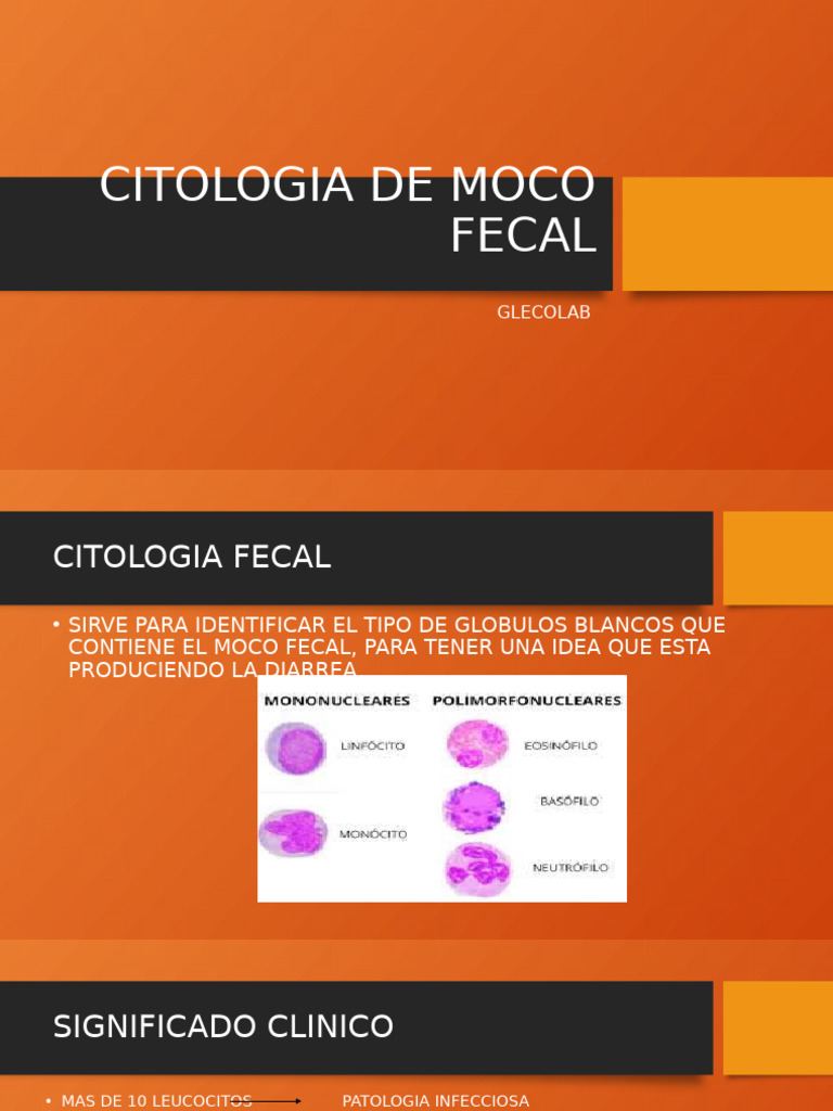 Citología de Moco Fecal y Leucocitos | PDF