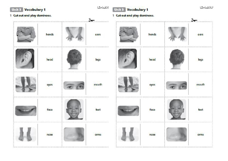 Body Parts Domino | PDF
