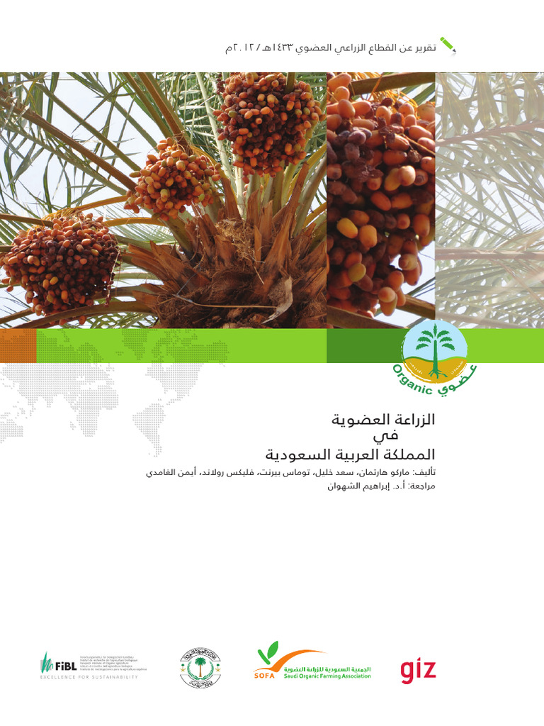 KSA Studiefor Arabic PDF | PDF