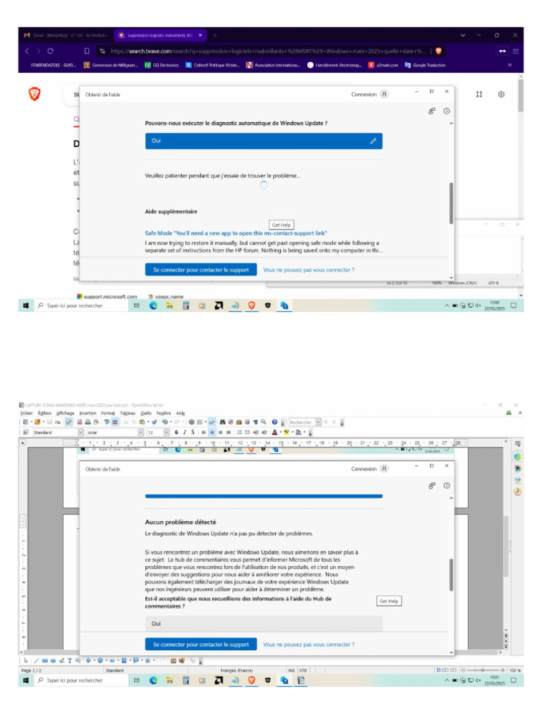 Capture Ecran Windows MSRT Mars 2025 Pas Faite | PDF