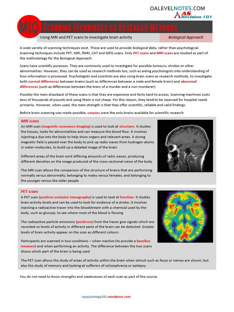 Brain Scanning Techniques Explained | PDF | Positron Emission ...