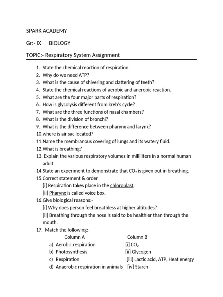 Gr. IX Biology Respiratory System ASSignment. | PDF | Cellular ...