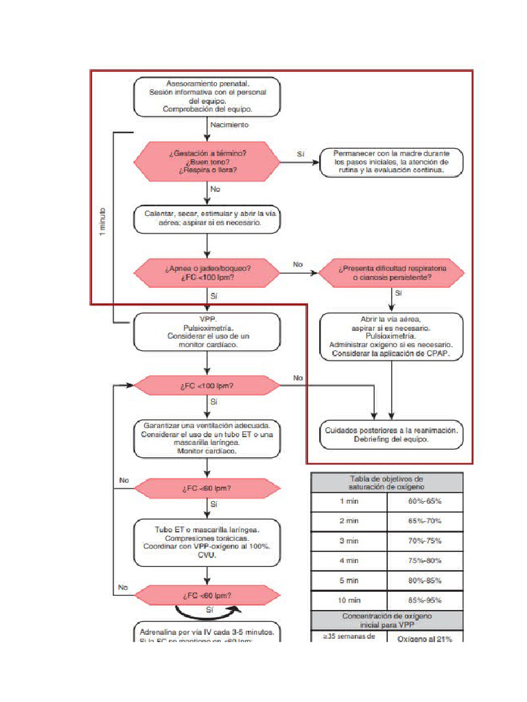 Algoritmo RCP Neonatal | PDF