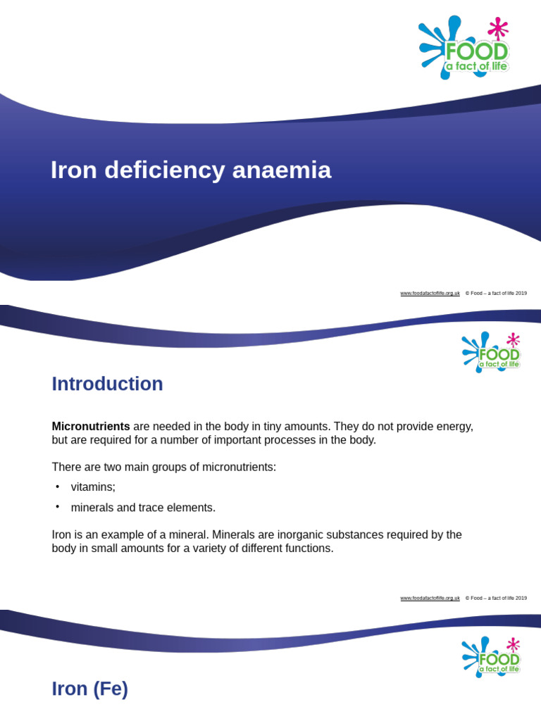 Causes and Impact of Iron Deficiency Anemia | PDF | Anemia | Iron