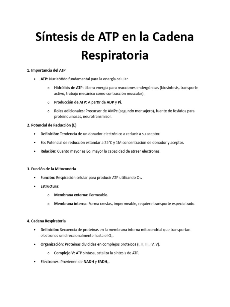 Síntesis de ATP en La Cadena Respiratoria | PDF | Trifosfato de ...