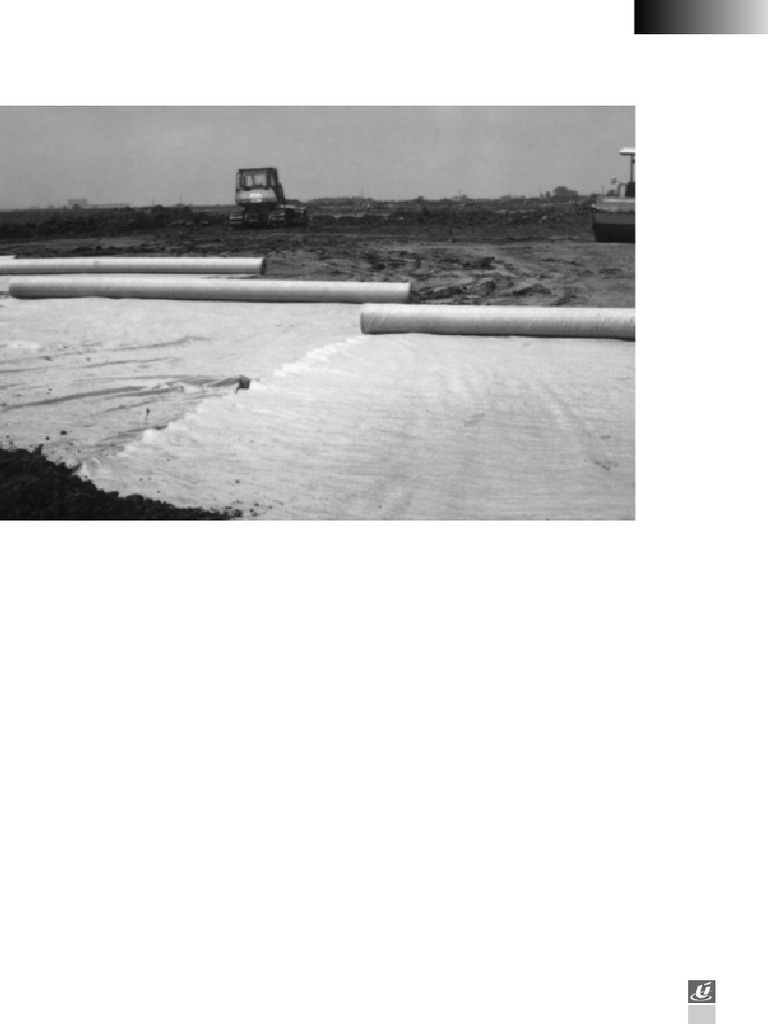 Caracter Í Sticas | PDF