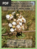 Filotaxia | PDF | Folha | Morfologia vegetal