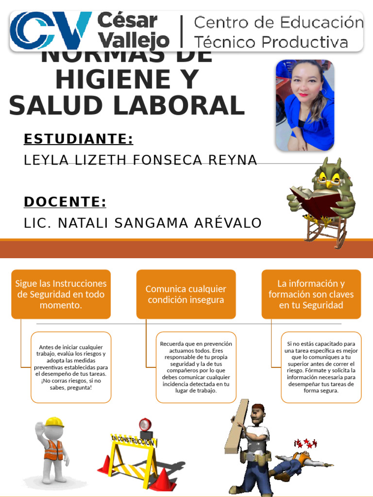 Normas de Higiene y Salud Laboral | PDF | Seguridad y salud ocupacional