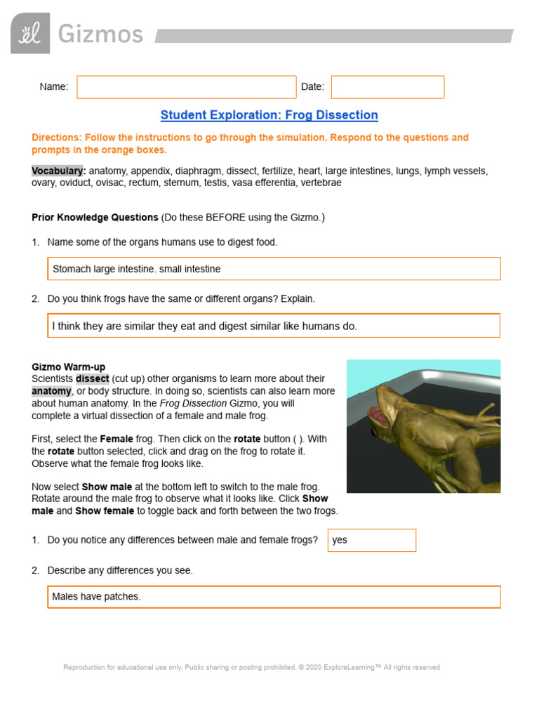 Frog Dissection Gizmo | PDF | Human Body | Digestion