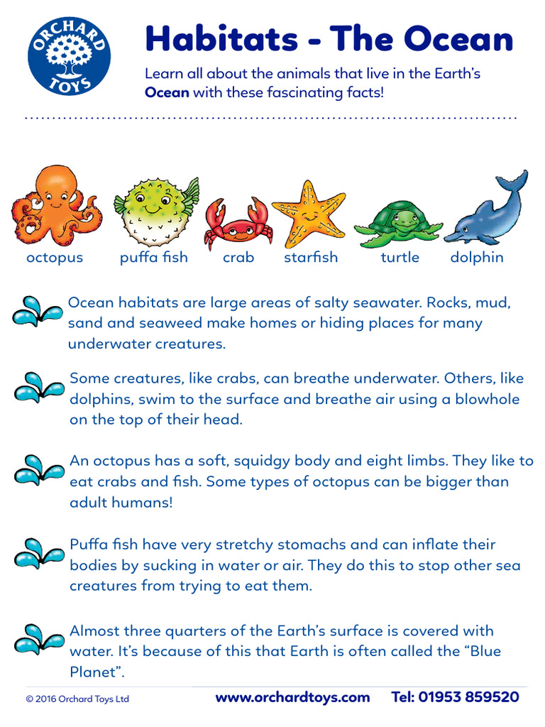 Ocean Habitats and Marine Life Facts | PDF