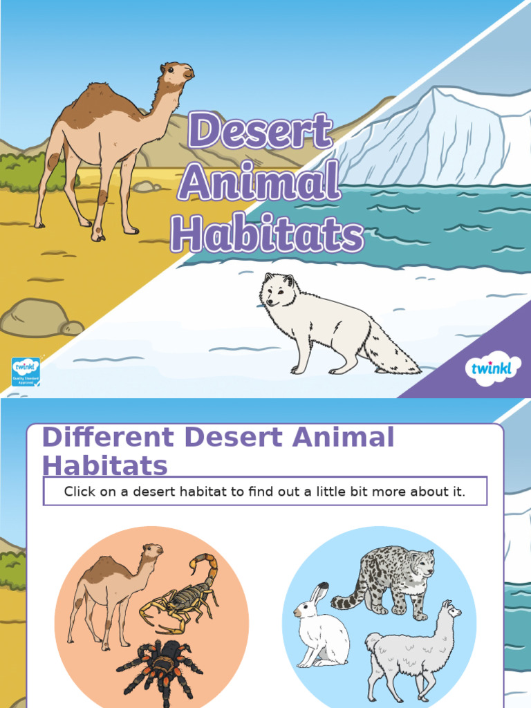 T T 252994 Desert Animal Habitats Powerpoint Ver 10 | PDF | Desert ...