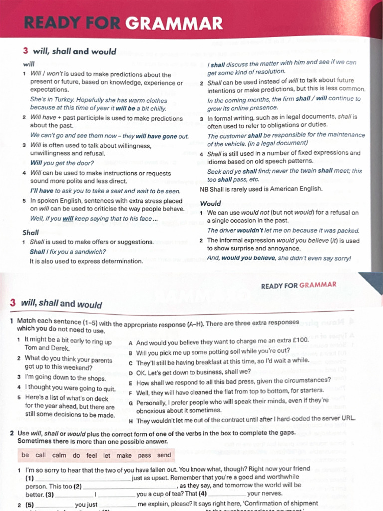 C2 Grammar - Shall, Will, Would | PDF