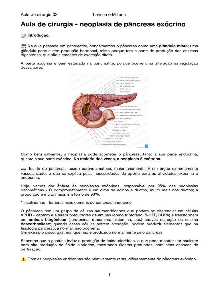 Neoplasia Exócrina de Pâncreas: Aula 03 | PDF | Câncer de pâncreas | Câncer