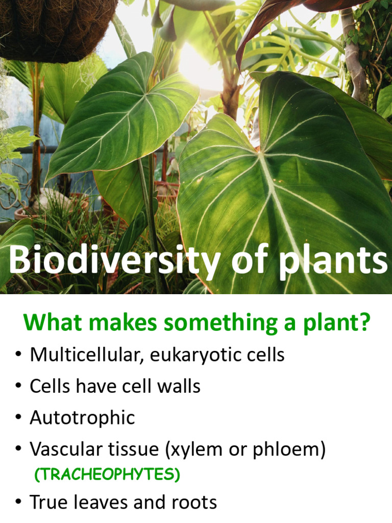 Plant Biodiversity and Reproduction Overview | PDF | Plant Reproduction ...