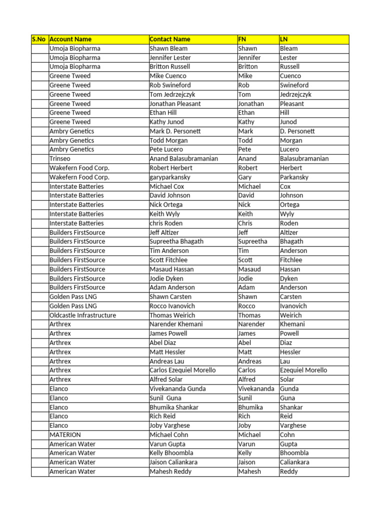 SAP Swati | PDF | Chief Information Officer | Information Technology
