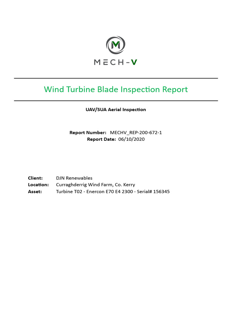Blade Inspection Report | PDF