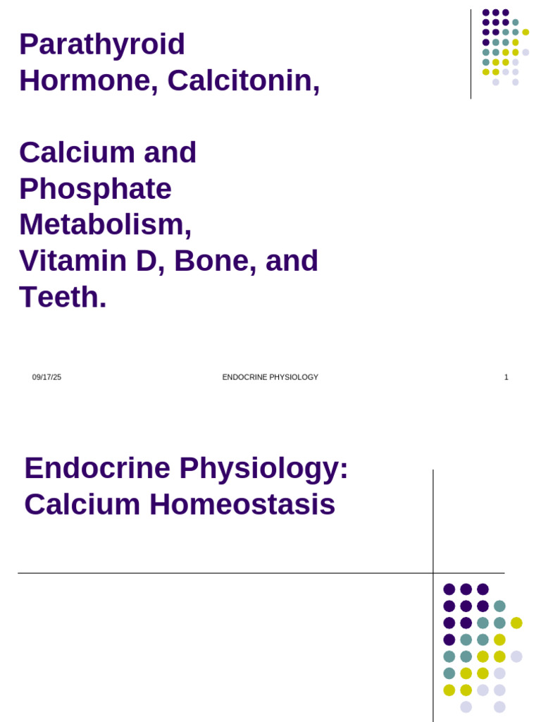 Calcium Homeostasis | PDF | Calcium In Biology | Vitamin D