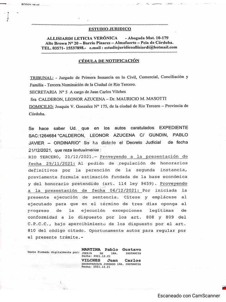 Modelo Cédula y Demanda Ejecución de Honorarios | PDF