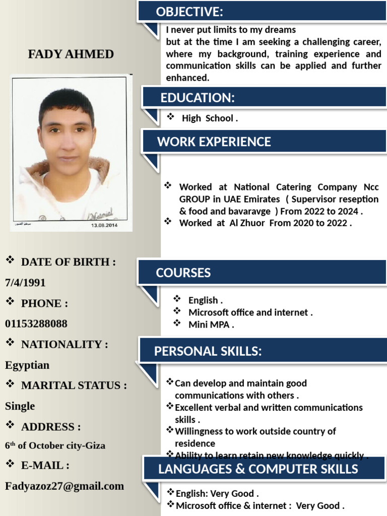 Fady Ahmed's Professional Profile | PDF