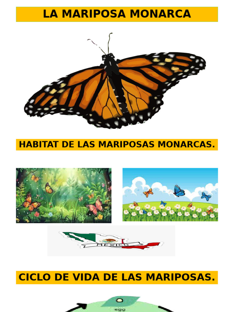 La Mariposa Monarca | PDF