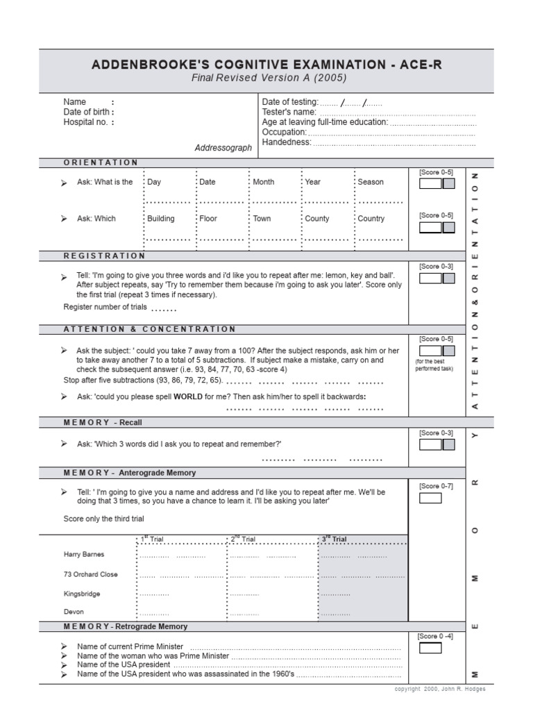 Dementia Assessment Scoring Guide | PDF