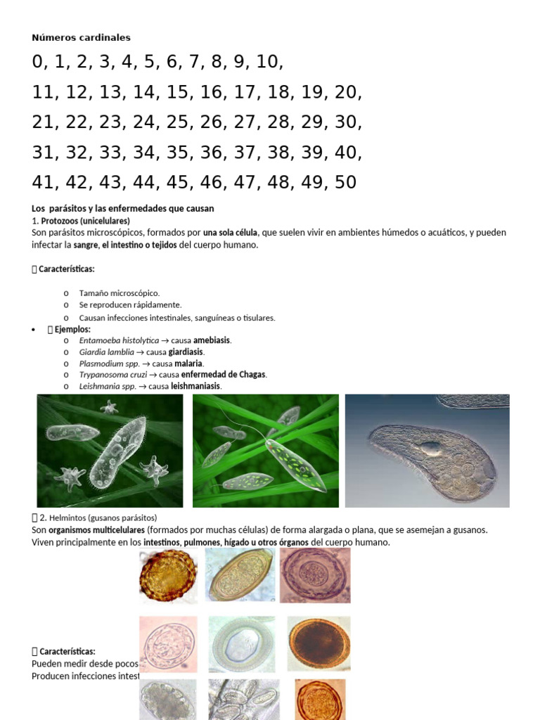 Números Cardinales | PDF | Virus | Minería