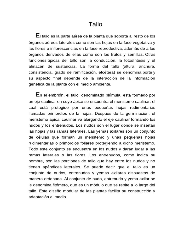 Eje Caulinar en el Crecimiento del Tallo | PDF | Tallo de la planta | Raíz