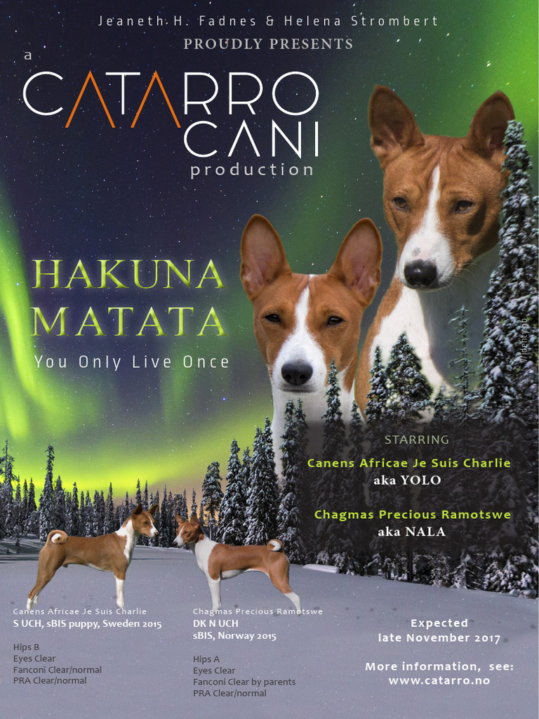 Hakuna Matata Dog Breeding Info | PDF
