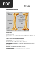 Anatomía y Funciones del Codo | PDF | Codo | Articulación