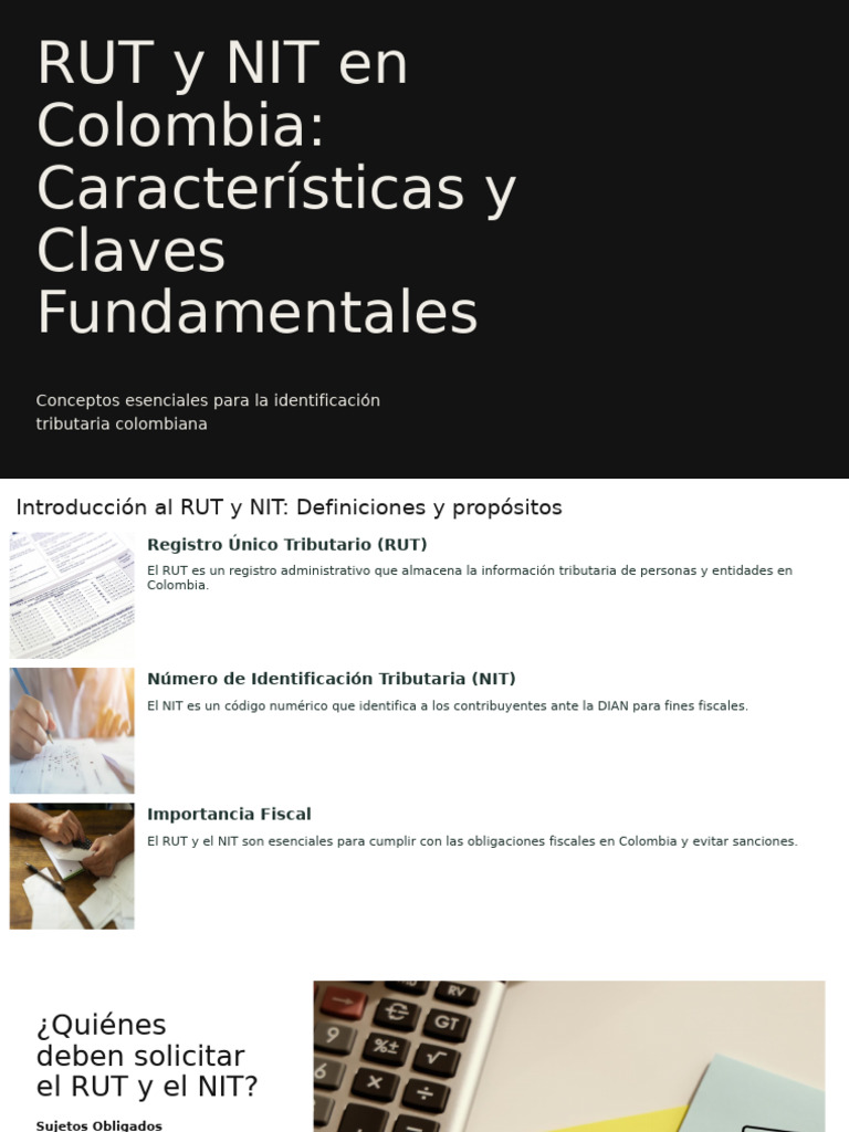 RUT y NIT en Colombia | PDF | Colombia