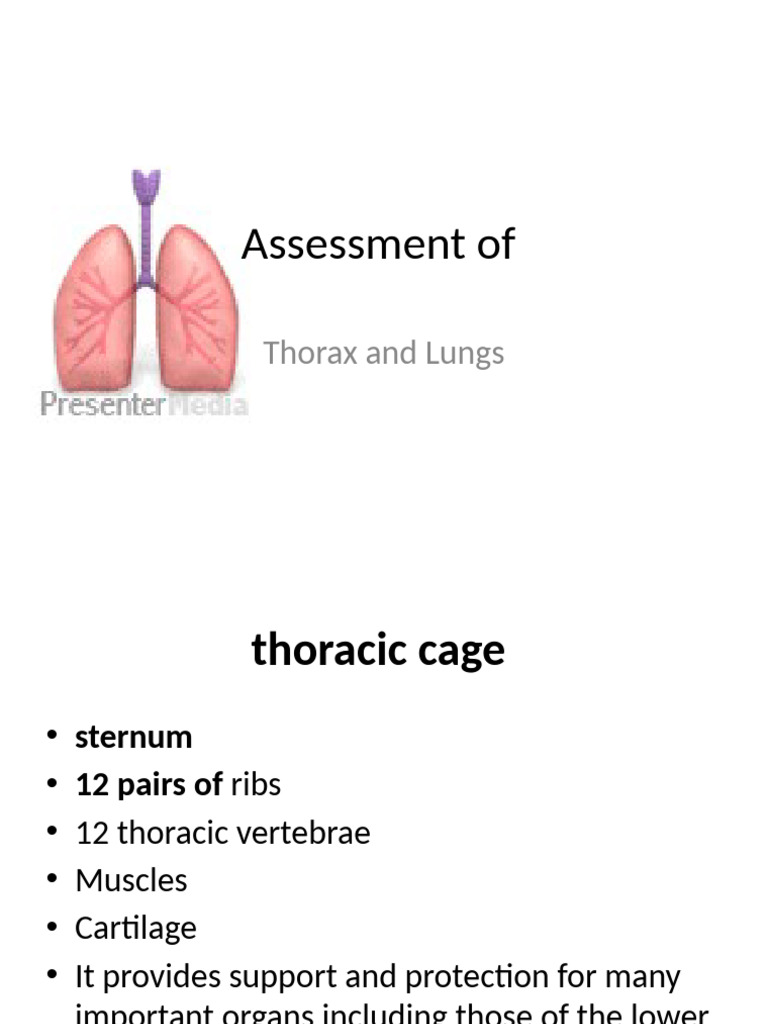 Thorax and Lungs 1 | PDF | Thorax | Vertebra