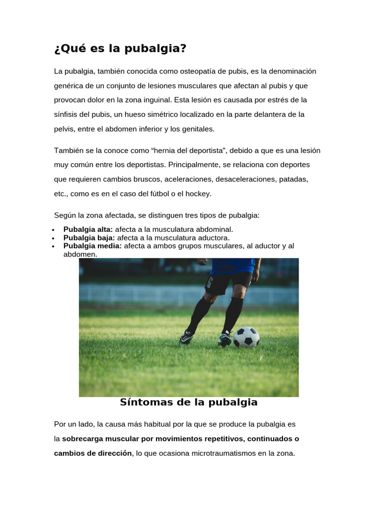 Pubalgia: causas, síntomas y tratamiento | PDF | Abdomen | Músculo