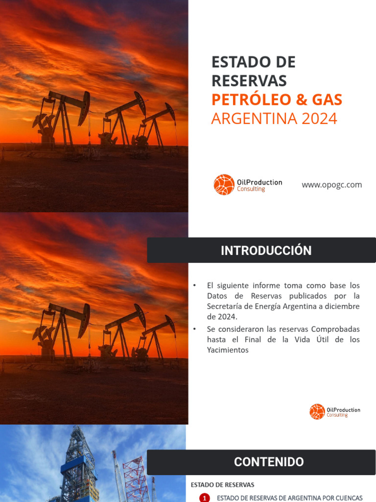 Estado de Reservas Oil & Gas - Argentina | PDF | Fuentes de energia ...