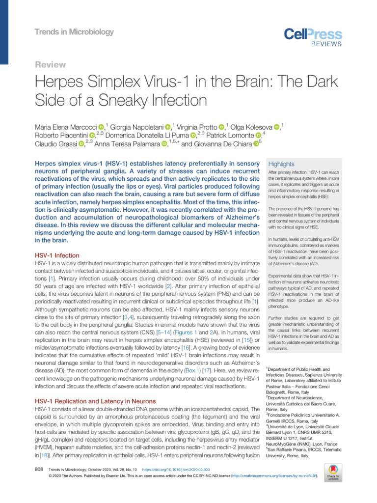 2020 HIV Virus Herpes Simplex 1 in The Brain Dark Side Sneaky Infection ...