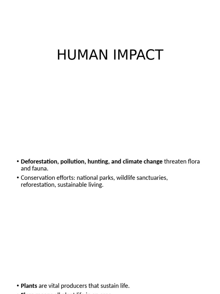 Human Impact Ecology System | PDF