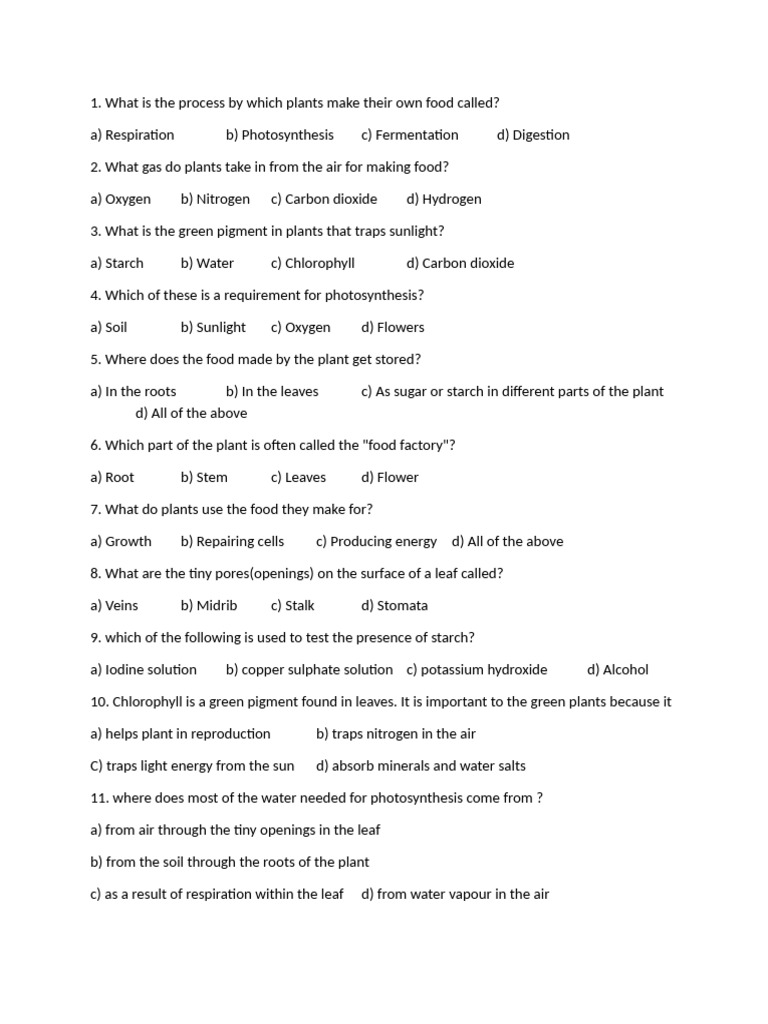 Plant Processes and Adaptations Quiz | PDF | Leaf | Plants