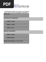 Cálculo de la TSS y sus Componentes | PDF | Salario | Salario mínimo