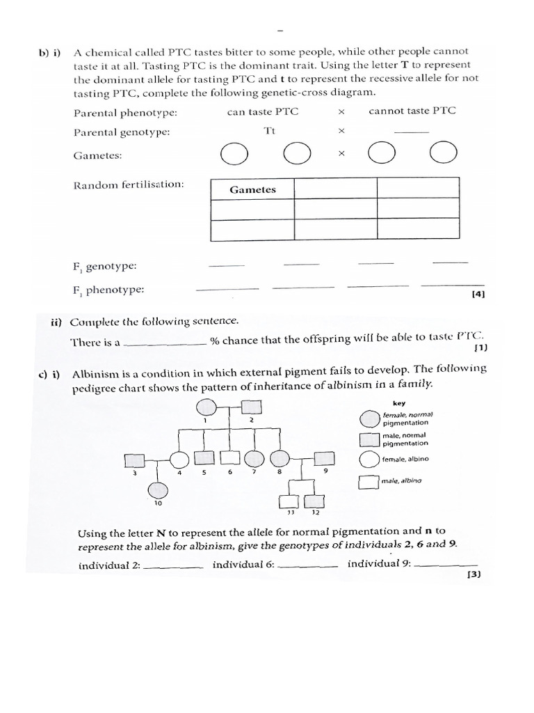 CSEC Biology - Genetics Worksheet | PDF