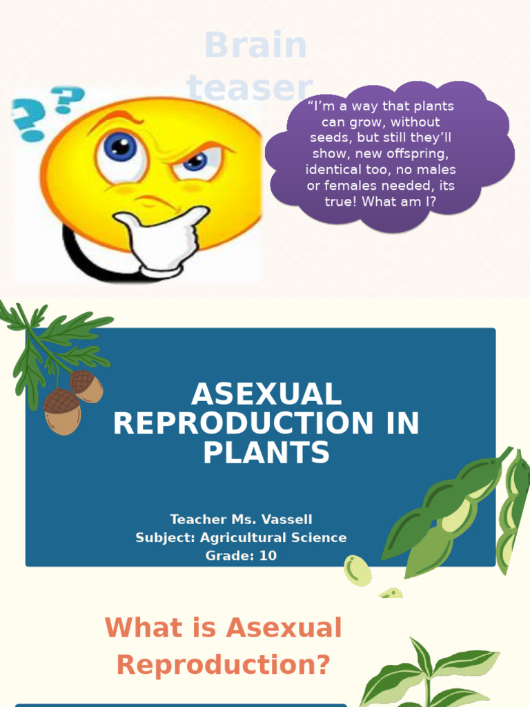 Asexual Reproduction | PDF | Plants | Botany