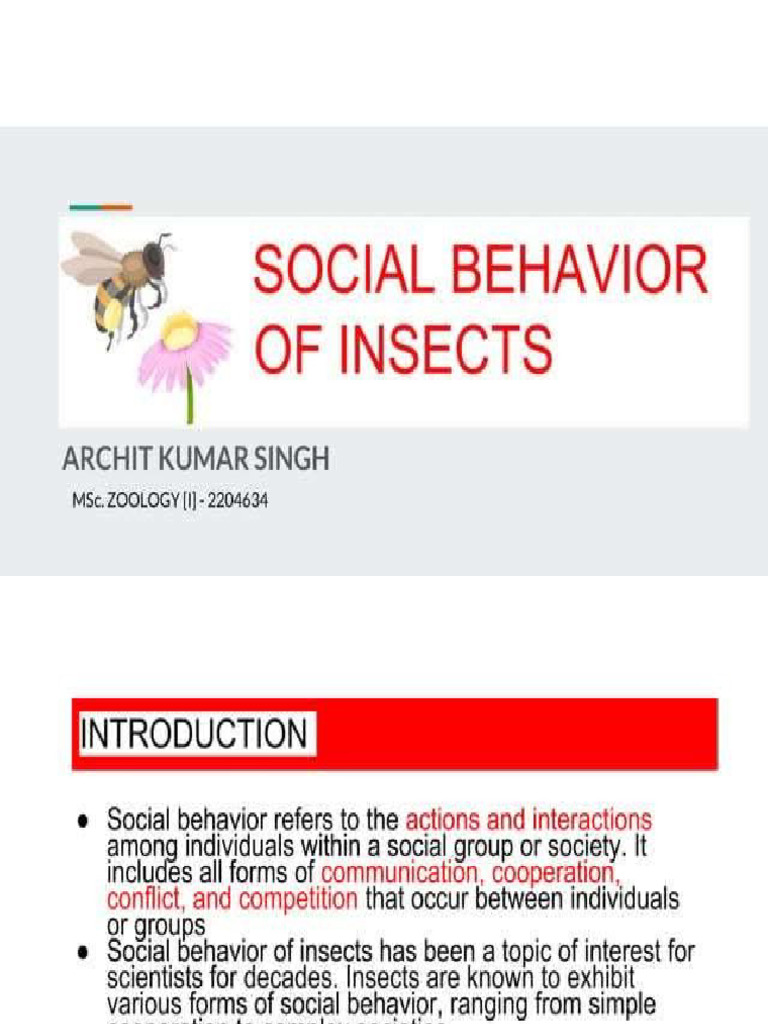 Social Behaviour | PDF