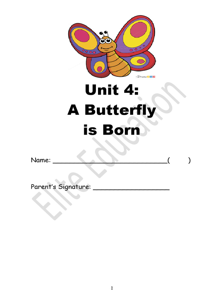 Understanding Butterflies and Caterpillars | PDF | Verb | Noun