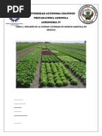 Sistema de Roza y Quema Maya | PDF | México | Agricultura