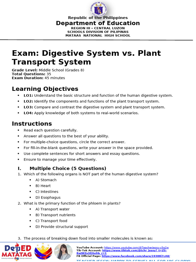 Summative Examination (Digestive System Vs Plant Transport System) | PDF | Digestion | Biology