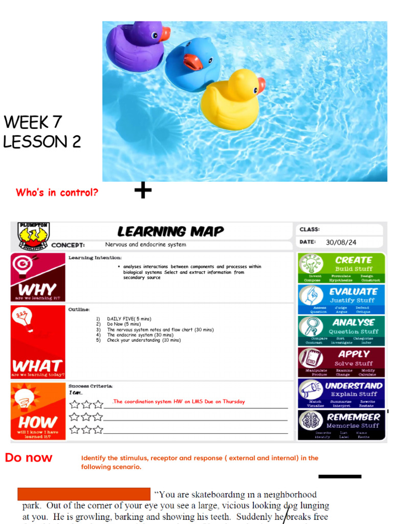 WEEK 7 LESSON 2Nervous and Endocrine System | PDF | Nervous System | Neuron
