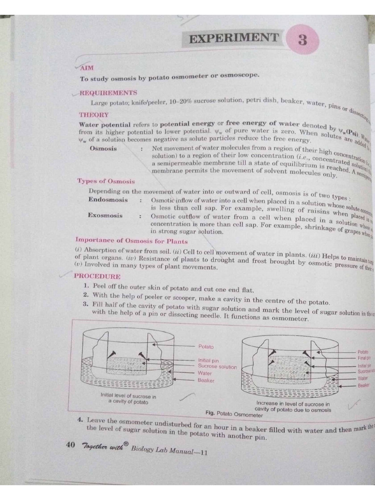 Biology - Lab.manual - Class11.2023 24 | PDF