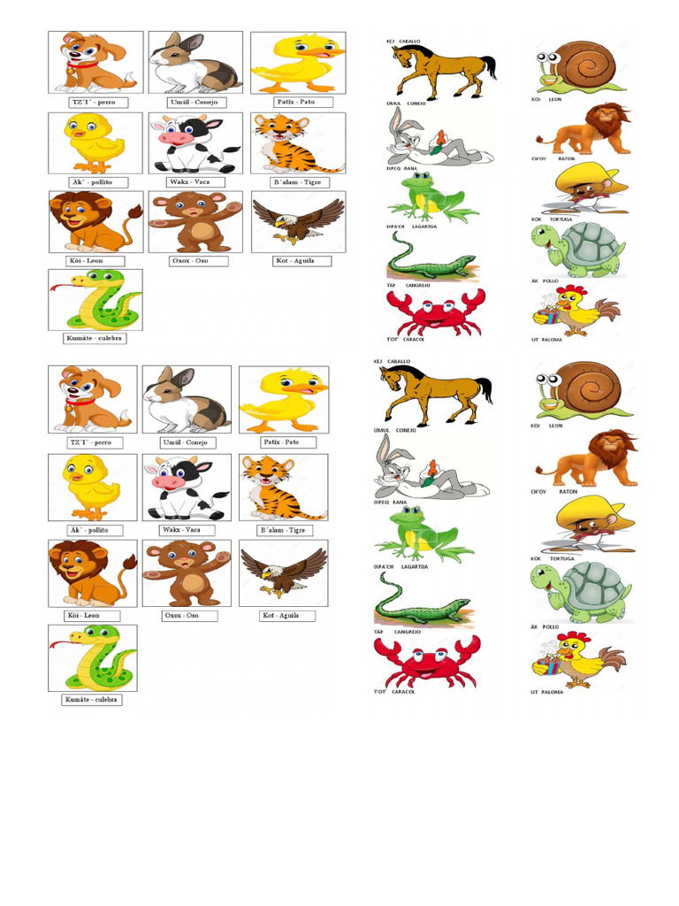 Animales En Kaqchikel Pdf
